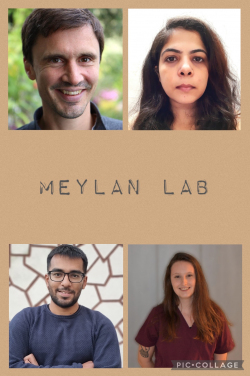 Team van professor Etienne Meylan (2022) - Stichting tegen Kanker